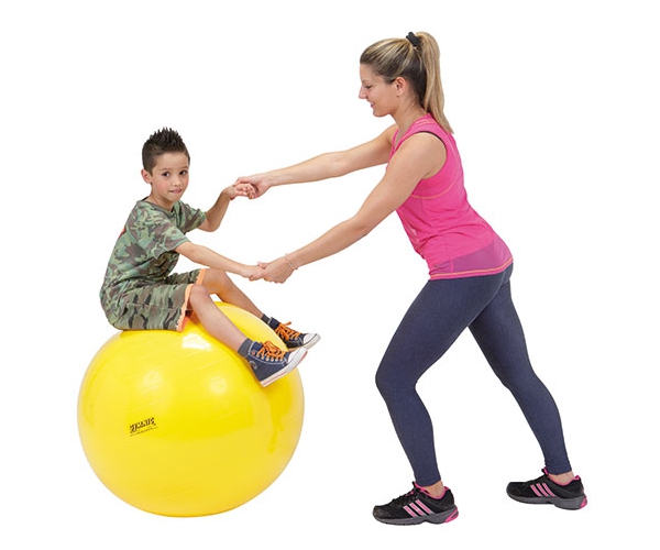 Classic gymbal 75 cm - Alprovi